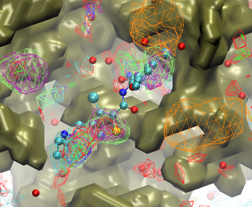 Alexander MacKerell - Institute for Bioscience and Biotechnology Research